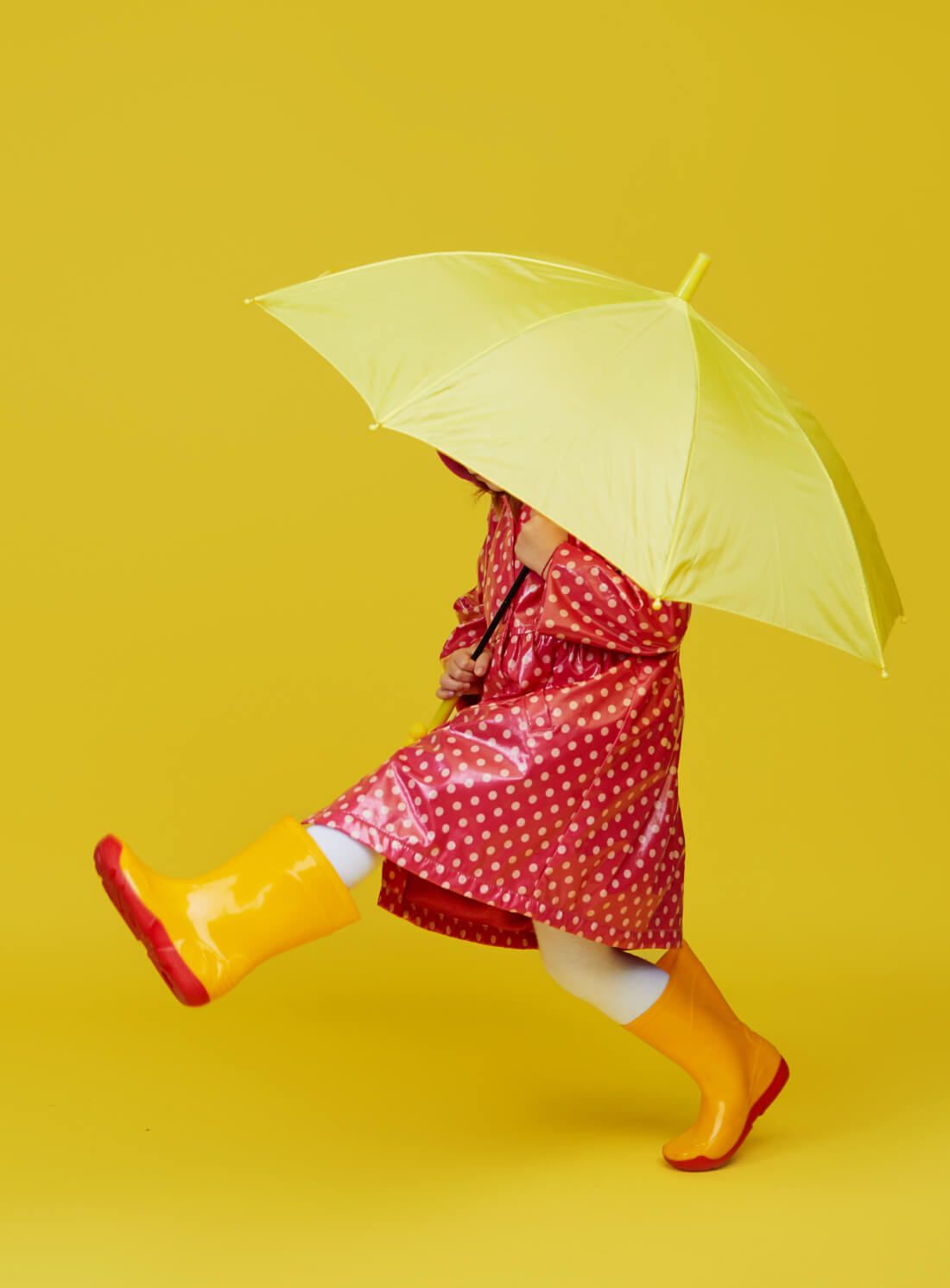 Elephango for Schools | Online Learning | Personalized Learning